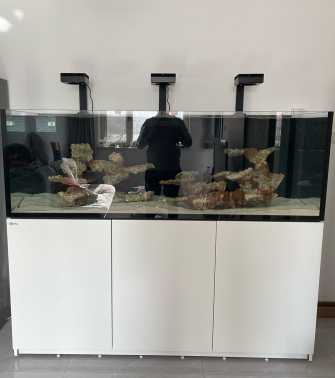 上岸不玩了 出全套以色列红海Red Sea 180*65*60海水缸 - 北京地区 - CMF海水论坛 - Powered by Discuz!